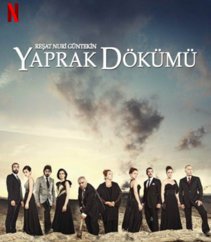 Best Turkish Series On Netflix 2025